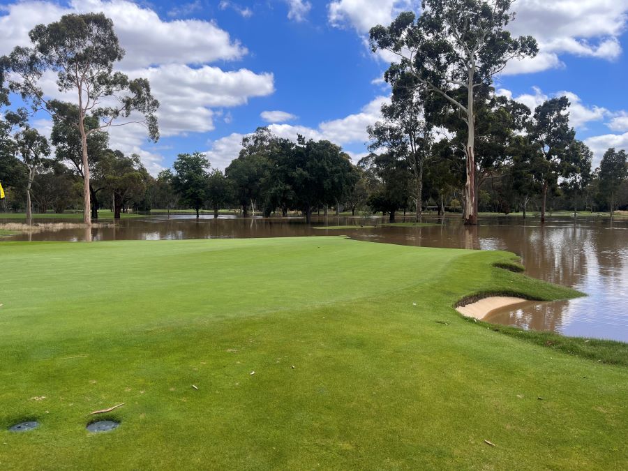 Golf News - Kew Golf Club